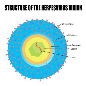 Bolhas nos lábios - Tratamento da herpes - Power Life System